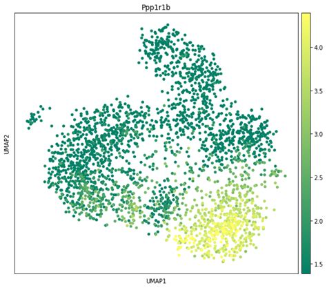 Analysis Of 10x Visium Mouse Brain Slice — Spasrl 012 Documentation
