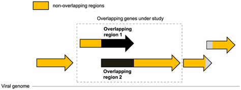 Definition Used For Overlapping Regions And Non Overlapping Regions Of Download Scientific