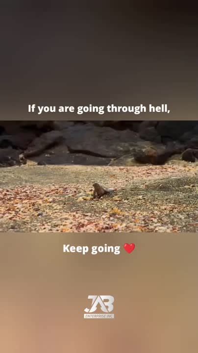 Aqsa Bibi On Linkedin Keepgoing Persevere Resilience Endure