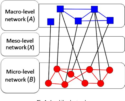 Figure 1 From Exponential Random Graph Models For Multilevel Networks Semantic Scholar