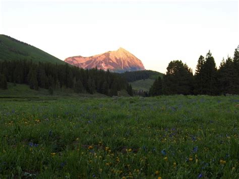 Crested Butte Meadow Camping Watsonswander