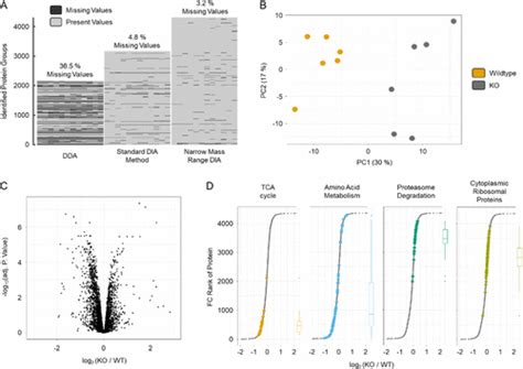Robust Precise And Deep Proteome Profiling Using A Small Mass Range And Narrow Window Data
