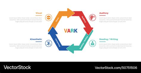 Vark Learning Styles Infographics Template Vector Image