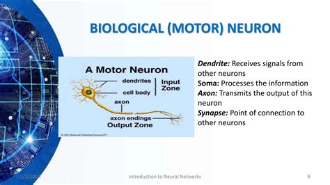 introduction to neural network module 1 pptx computer networking
