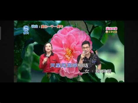 愛你一千一萬年 YouTube