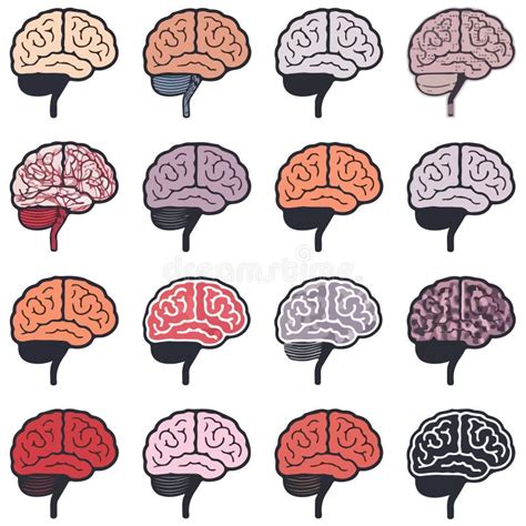 Set Of Different Types Of Human Brain Vector Icons Stock Vector Illustration Of Thinking Care