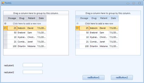 Using A Default Theme For The Entire Application Themes Telerik Ui For Winforms