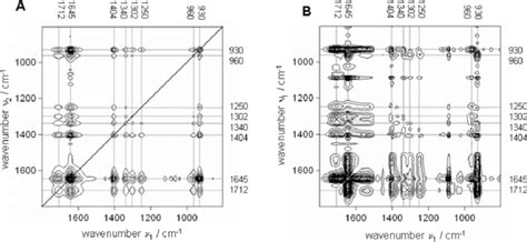A Synchronous And B Asynchronous 2d Raman Correlation Plots Download Scientific Diagram