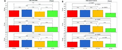 impact of sowing times and intra row spacing on leaf area index a