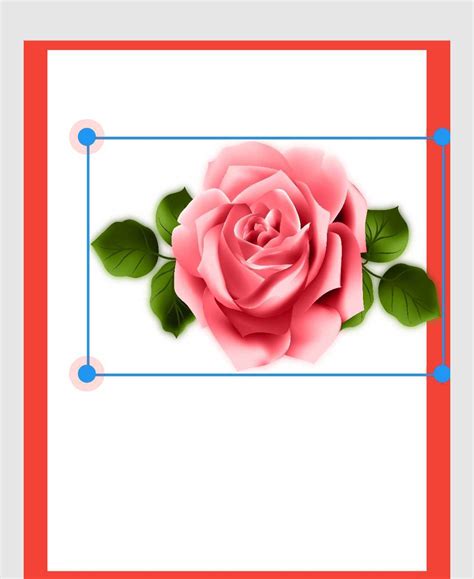 Dart How To Remove Space Area When Transform Use In Flutter Stack Overflow