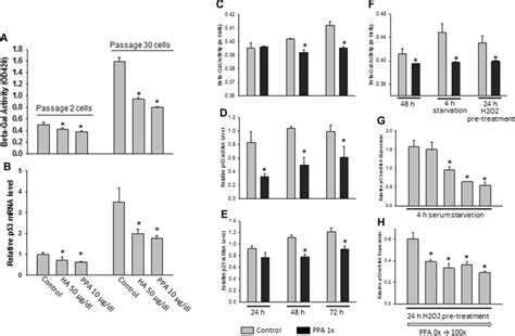 Ha And Ppa Inhibit Cellular Senescence In A Replicative Senescent Cell