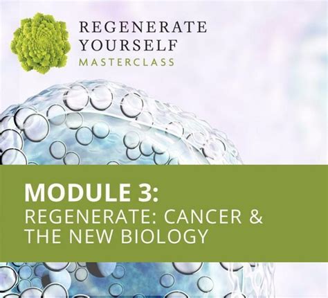 Regenerate Yourself Masterclass Regenerate Project