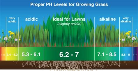 DIY Soil Ph Meter Using Soil Ph Sensor And Arduino