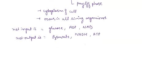 Solved Part A Glycolysis From The Following Compounds Involved In