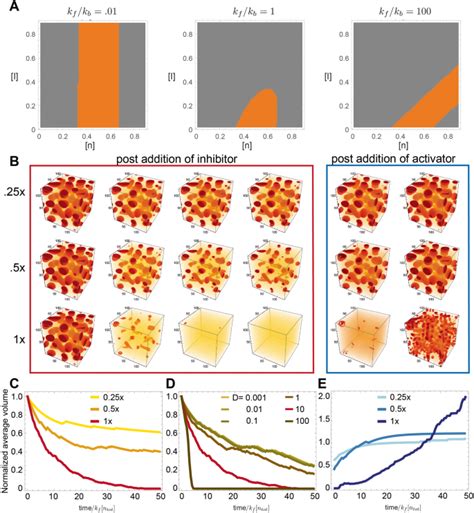 Dynamic Control Of Dna Condensation Nature Communications Platohealth