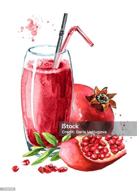석류 주스를 유리와 석류 과일 전체에 반 흰색 배경에 격리 된 수채화 손으로 그린 그림 0명에 대한 스톡 벡터 아트 및 기타 이미지 0명 건강한 식생활 과일 Istock
