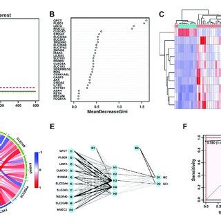 Random Forest Screening Of Genes And Construction Of Neural Networks Download Scientific