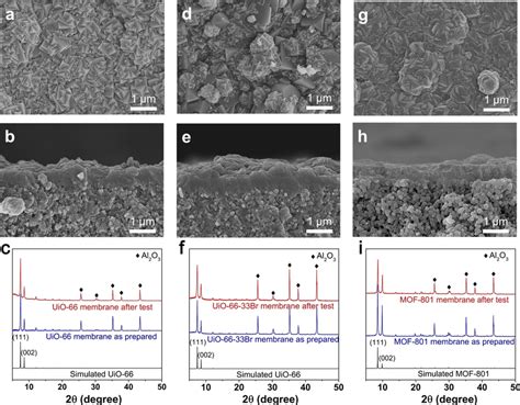 Morphology And Crystalline Structure Of Mof Membranes Surface A D Download Scientific