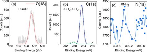 Illustration Of The Bonding Information Of Capping Ligand On Surface Of Download Scientific