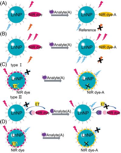 Detection Strategies Of Nir Dyelnnp Nanoprobes Including A