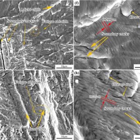 Fracture Surface Morphology Of Fatigue Crack Propagation Area