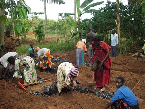 Uganda Farming Project