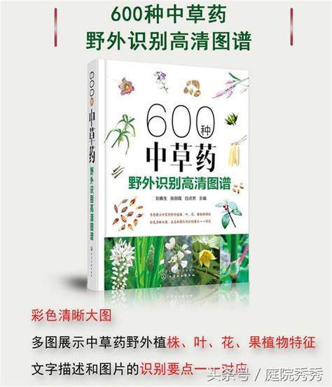 600種中草藥野外識別高清圖譜Kindle版輕鬆認識各種草藥 每日頭條