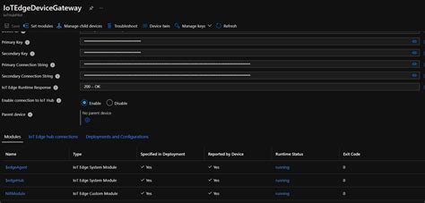 Cannot Access Apache Nifi On Edge Device Microsoft Qanda