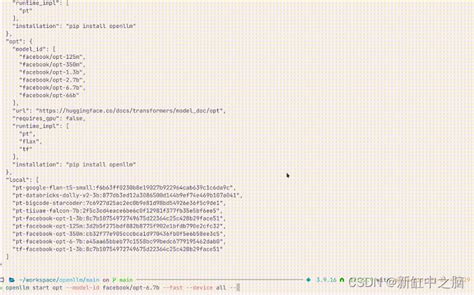 Openllm大模型应用开发库openllm Start Opt Csdn博客