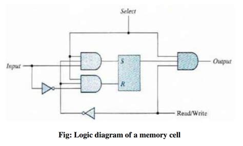 Memory Decoding