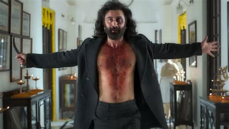Is Animal 2 On Cards Makers Of Ranbir Kapoor Starrer Hint At A Sequel