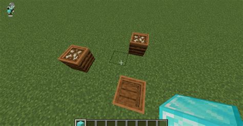 Execute At Block Variant Bedrock Wiki