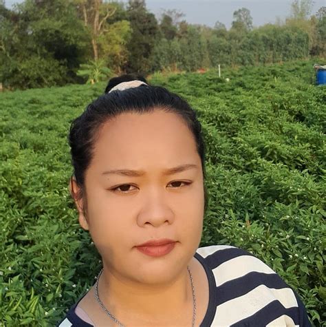 เอาใหม่เบิ่งก่อนน๊าาา ตัดใหมข้าวโพด ข้าวโพดหวานถอดยอด ข้าวโพดเมล็ดพันธุ์ ข้าวโพดถอดยอด