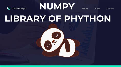 What Is Numpy Definition