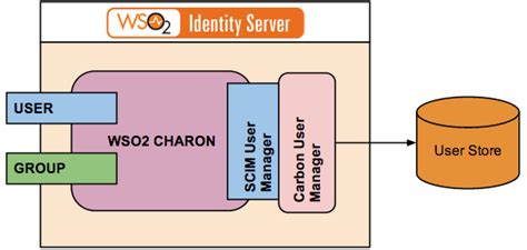 System For Cross Domain Identity Management Scim