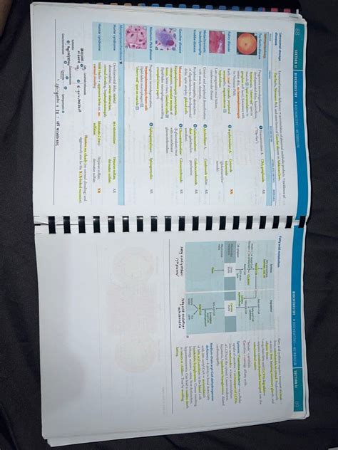 First Aid Usmle Step 1 Hobbies And Toys Books And Magazines Textbooks On Carousell