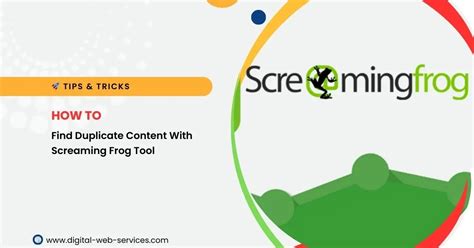 How To Find Duplicate Content With Screaming Frog Seo Guide