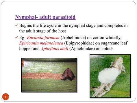 Types Of Parasitoids And Parasitism Ppt Pptx