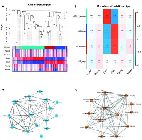 A The Cluster Dendrogram Of Co Expression Network Modules Ordered By