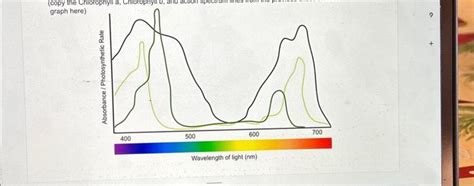 Solved Analysis Of Action Spectrum Graph 1 What