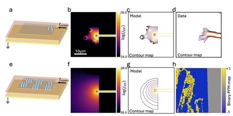 Finite Element Modelling A Schematic Of The Finite Element Model