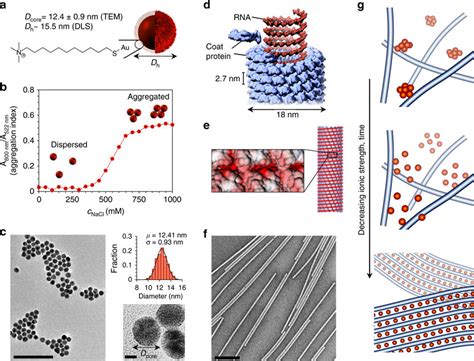 Structural Details Of The Oppositely Charged Colloids And Their