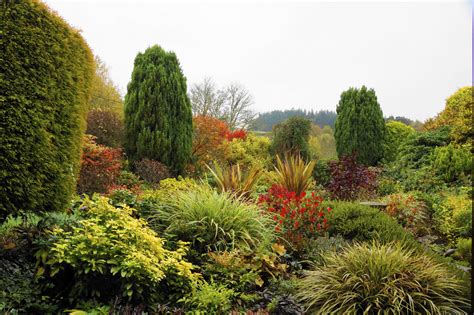 배경 화면 나무 경치 정원 자연 관목 상록수 가을 잎 꽃 플로라 그림 물감 초목 침엽수 생태계 생체 잔디 가족 식물원 조경 매 자크