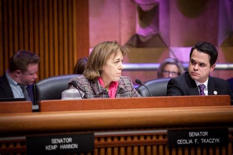 Senator Tkaczyk Calls For Action To Mitigate Electric Rate Hike