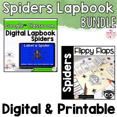 Spider Activities Interactive Notebook Digital And Printable Bundle