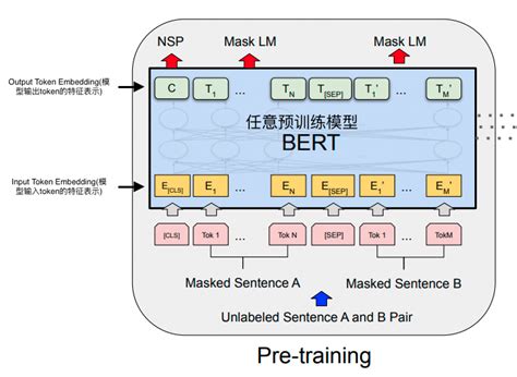 【nlp从零入门】预训练模型的文本分类算法综述（内附代码和数据集） 哔哩哔哩