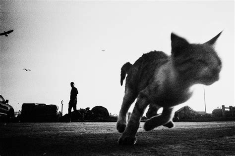 Interview With Mathieu Van Assche Situatifé Analog Photography Magazine