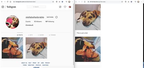 GitHub Christinabranson Instagram Basic Display API Simple