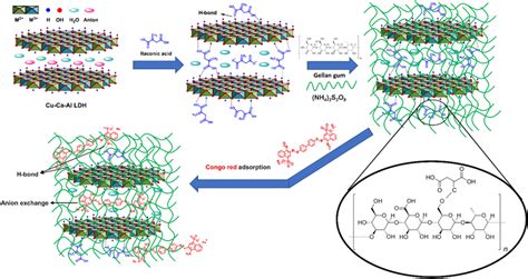 The Schematic Representation For The Structure Of The Prepared