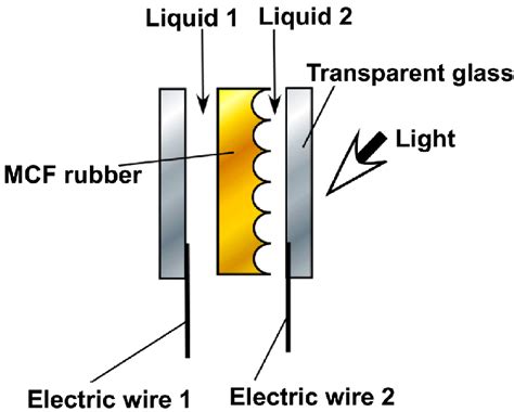 Experimental Set Up To Measure Voltage Download Scientific Diagram